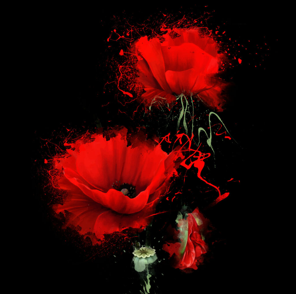 Red Graffiti Flower Print Splashback | The Glass Warehouse